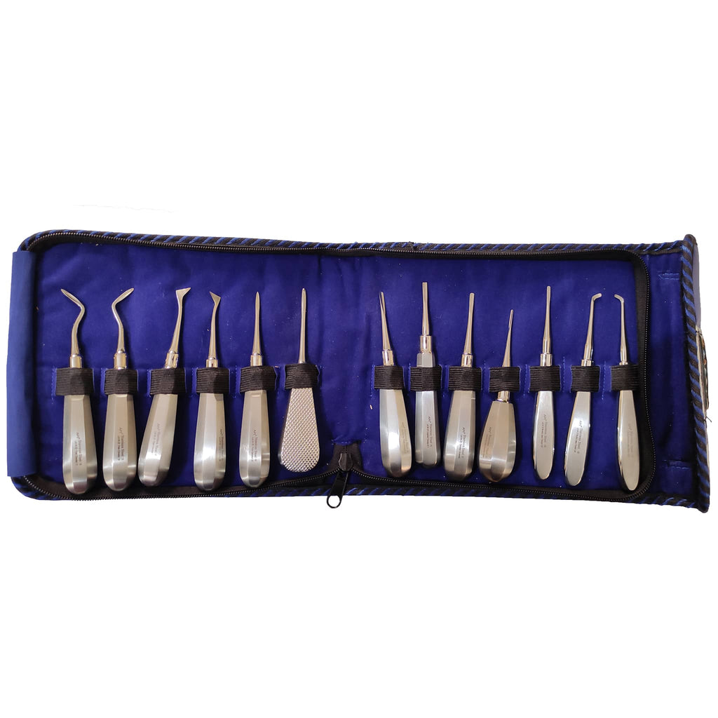 API Dental Root Elevators Kit (Set of 13)