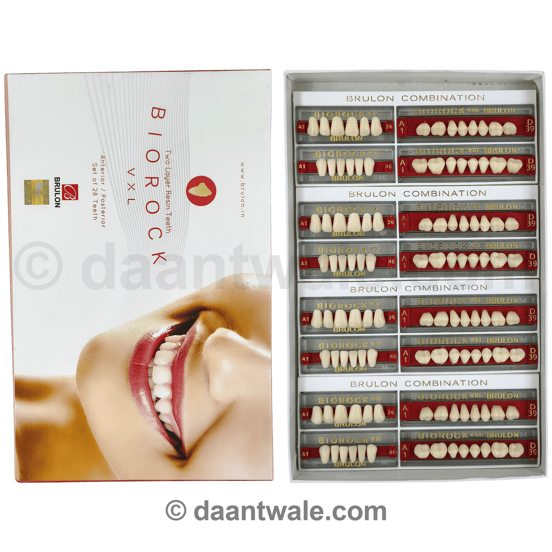 Buy Artifical Teeth Online at Best Price (Only For Dentists)