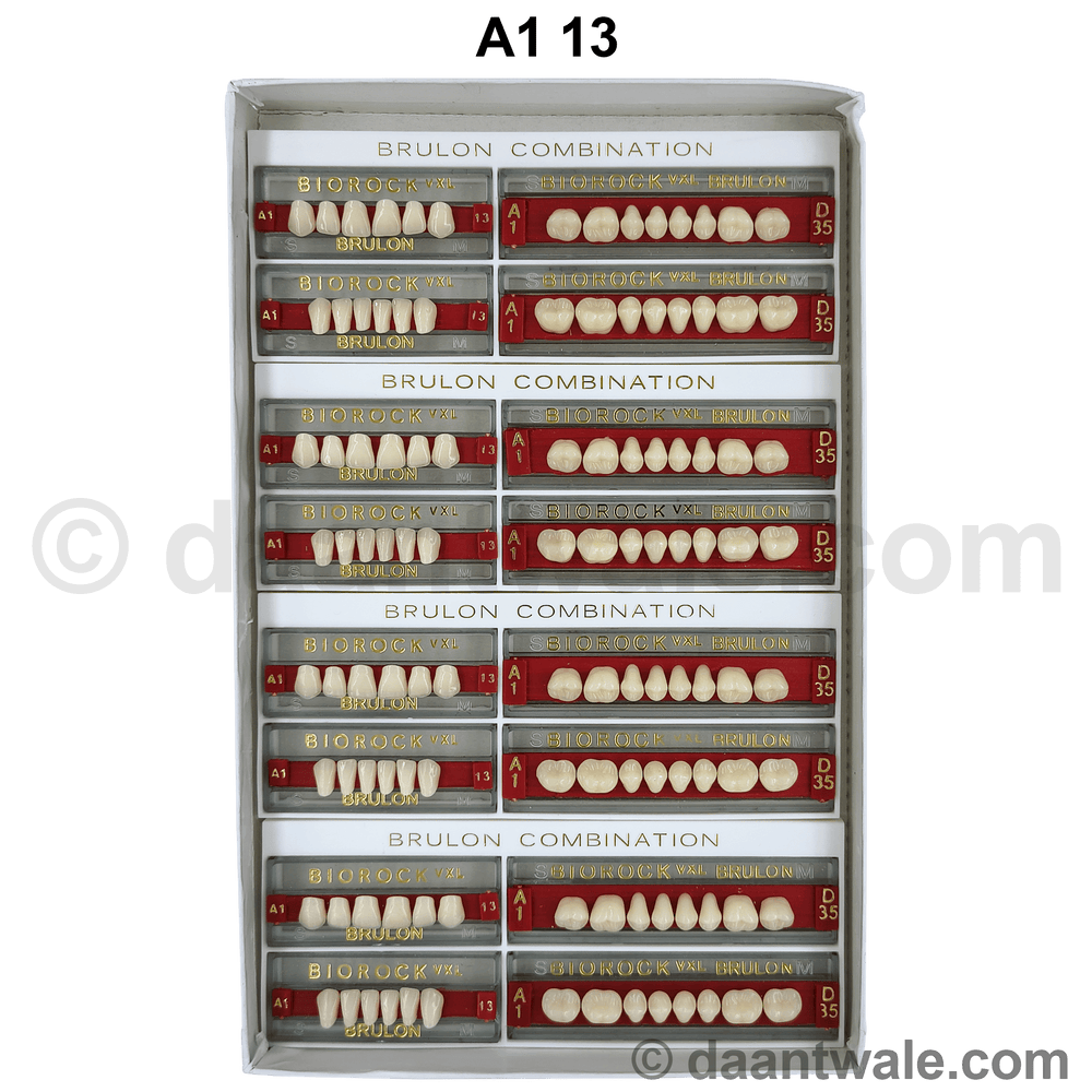 Buy Artifical Teeth Online at Best Price (Only For Dentists)