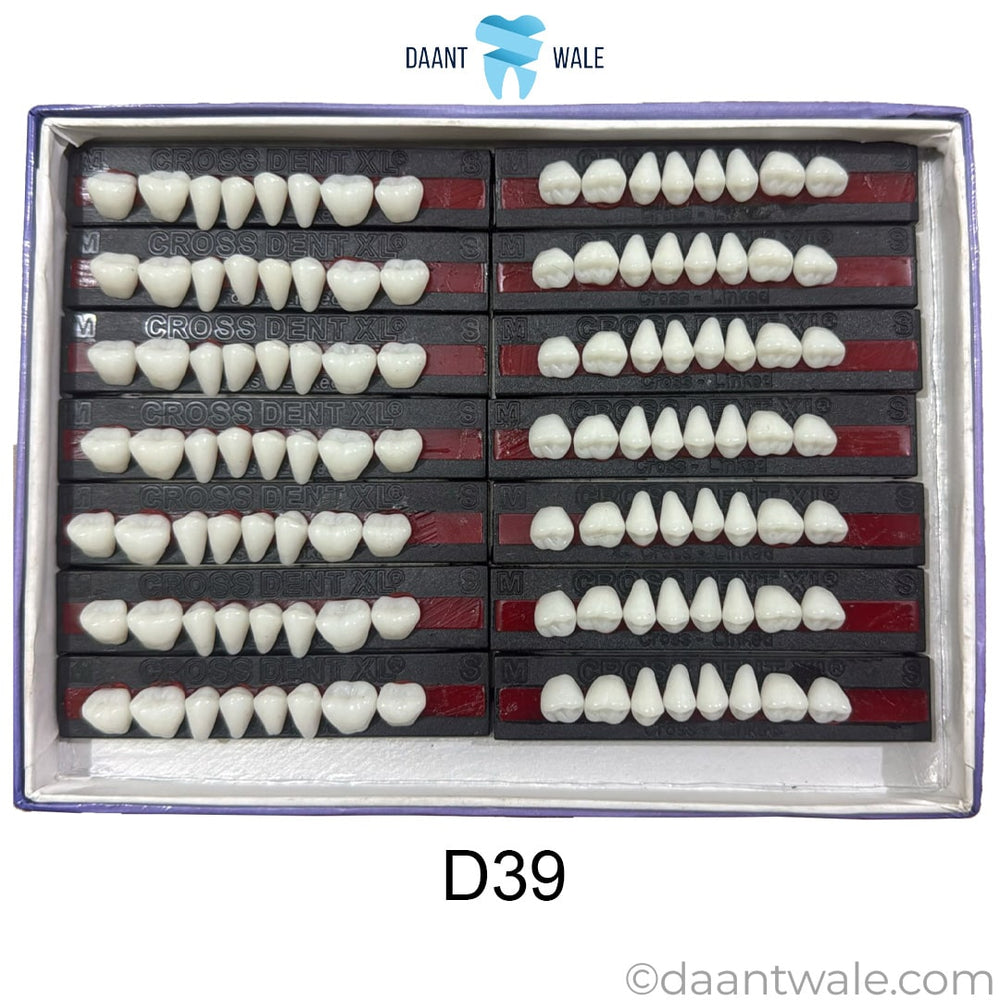Buy Artifical Teeth Online at Best Price (Only For Dentists)