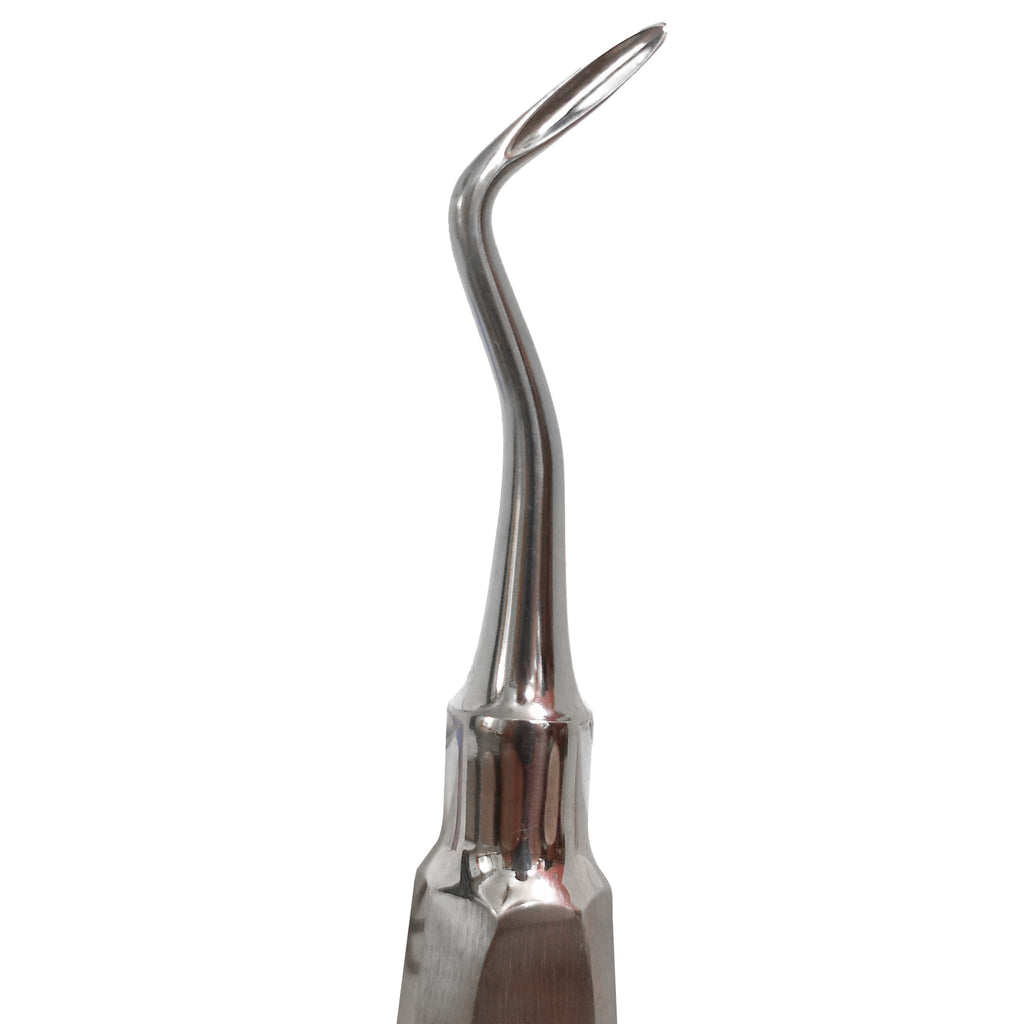 API Dental Root Elevator Flohr / Apexo