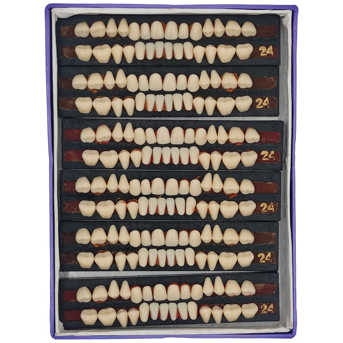 Buy Artifical Teeth Online at Best Price (Only For Dentists)