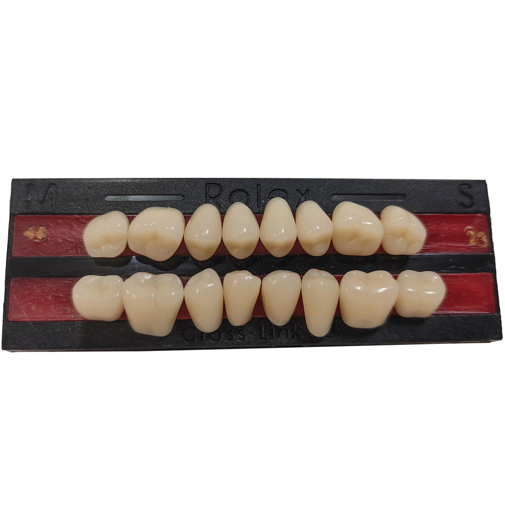Rolex Truton Crosslinked Molar Set Teeth For Dental Laboratory