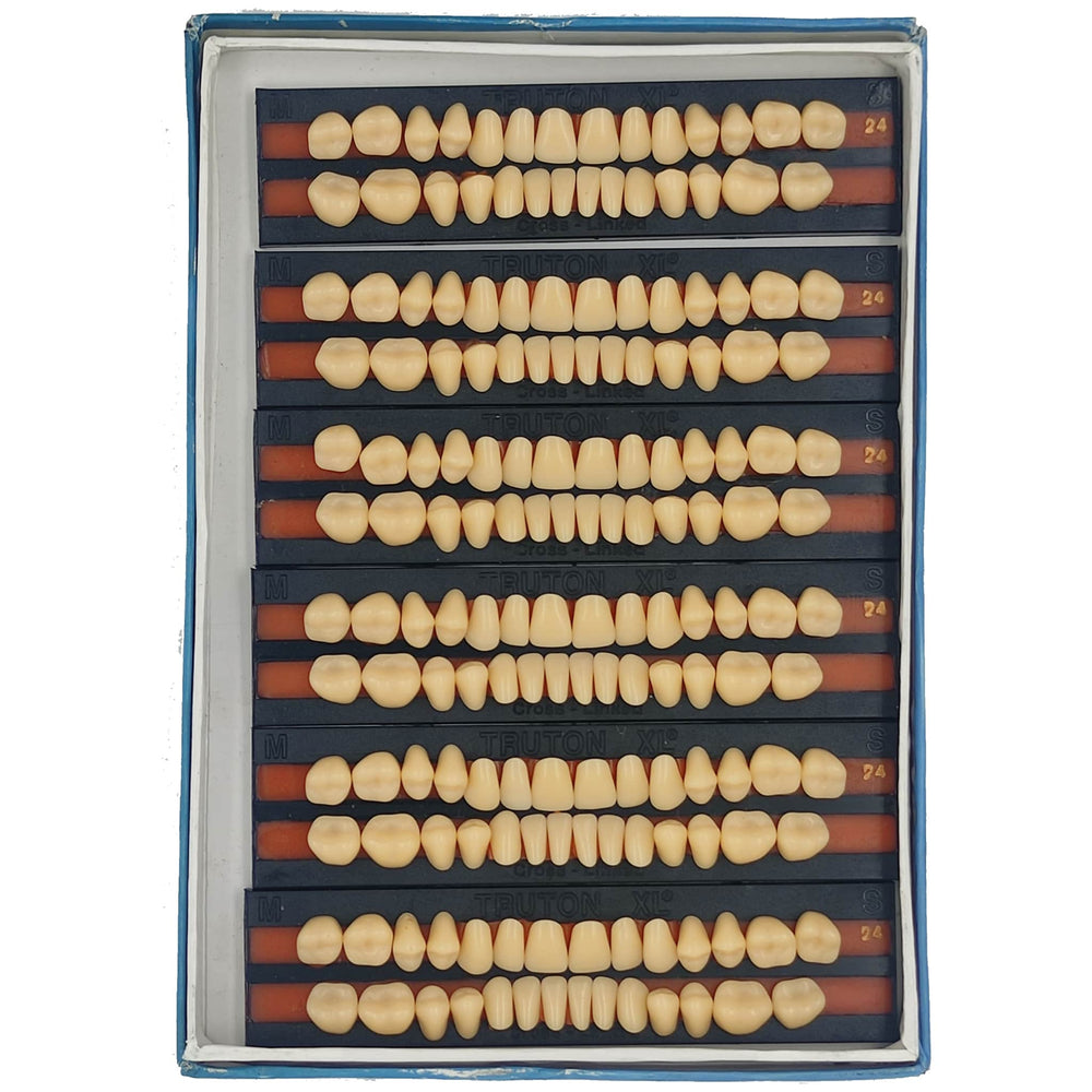 Truton Crosslinked Full Set Artificial Teeth Shade 23